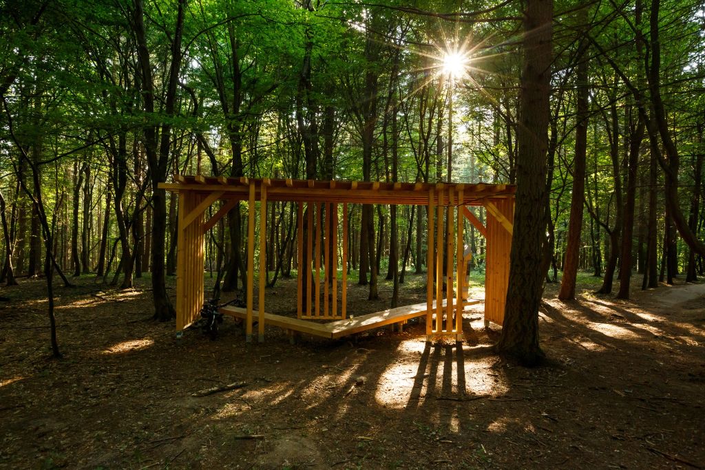 Pădurea-parc Făget, un nou spațiu de relaxare lângă Cluj-Napoca ...